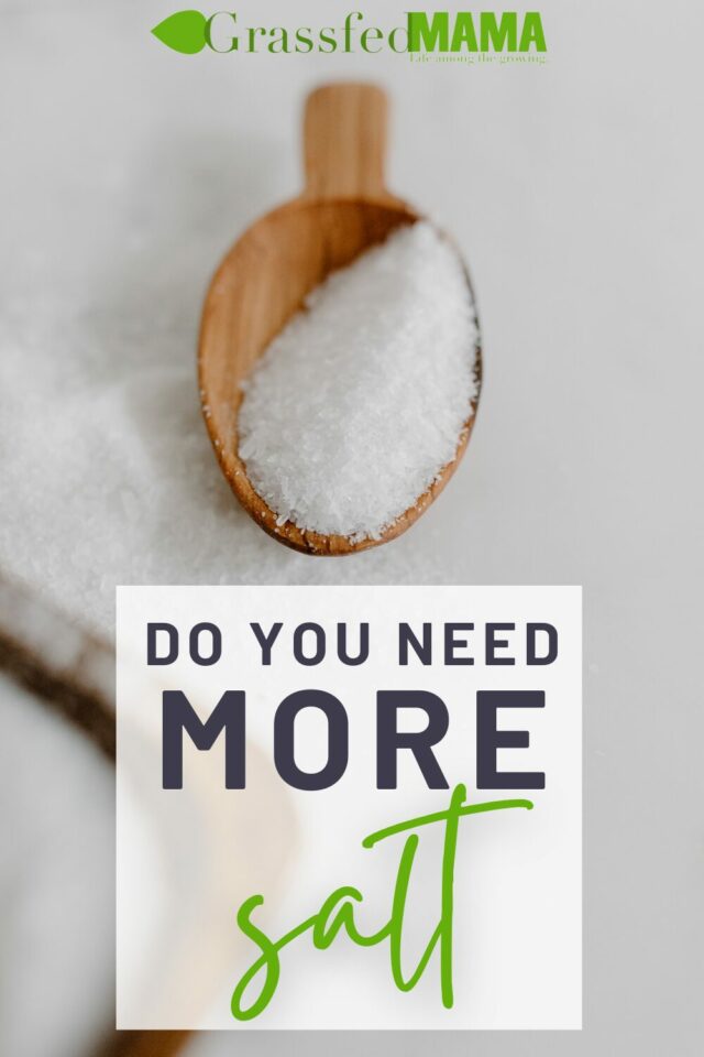 Why You Need More Salt! - Grassfed Mama