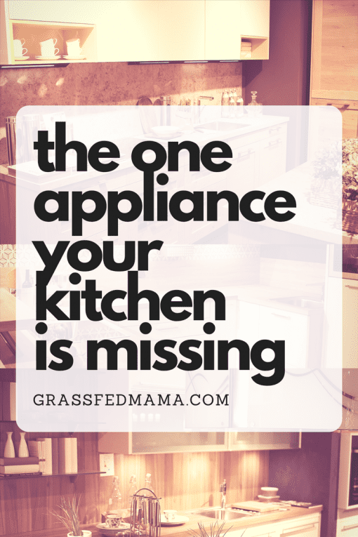 The One Appliance Your Kitchen is Missing - Grassfed Mama