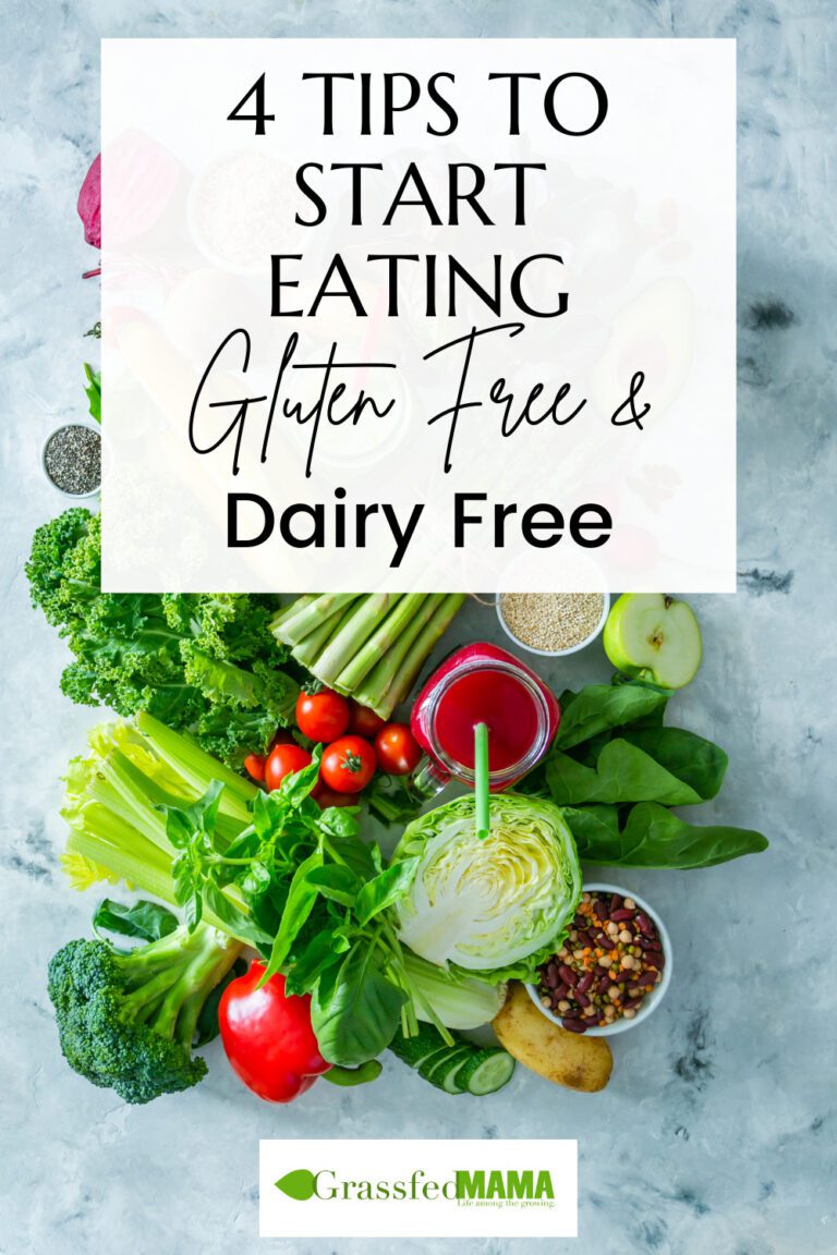 Easy Dairy Free Alternatives for a Dairy Free Diet - Grassfed Mama