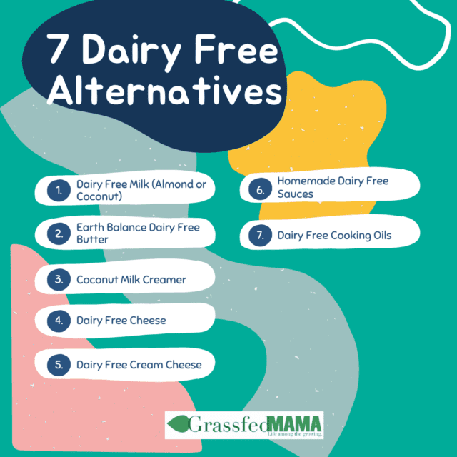 Easy Dairy Free Alternatives for a Dairy Free Diet - Grassfed Mama