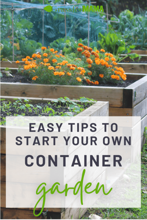 Let's Get Growing: Easy Tips for Starting Your Own Container Garden ...